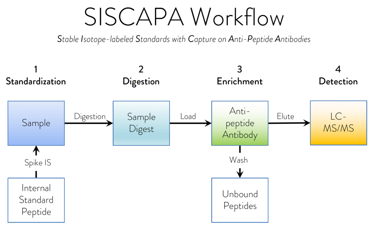 SISCAPA Workflow - Assay Technologies